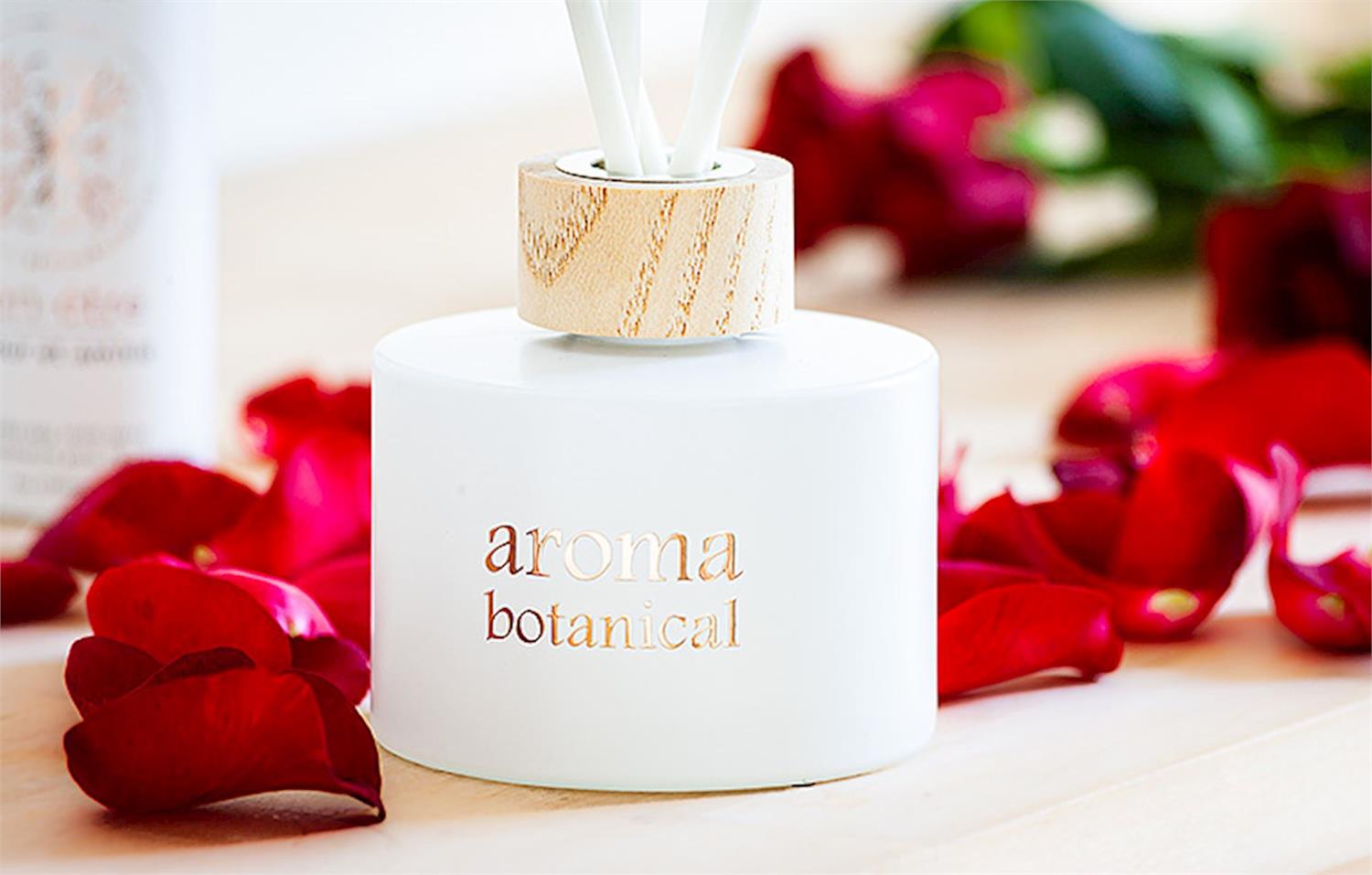 Energy Reed Diffuser – Spadana Smart Living